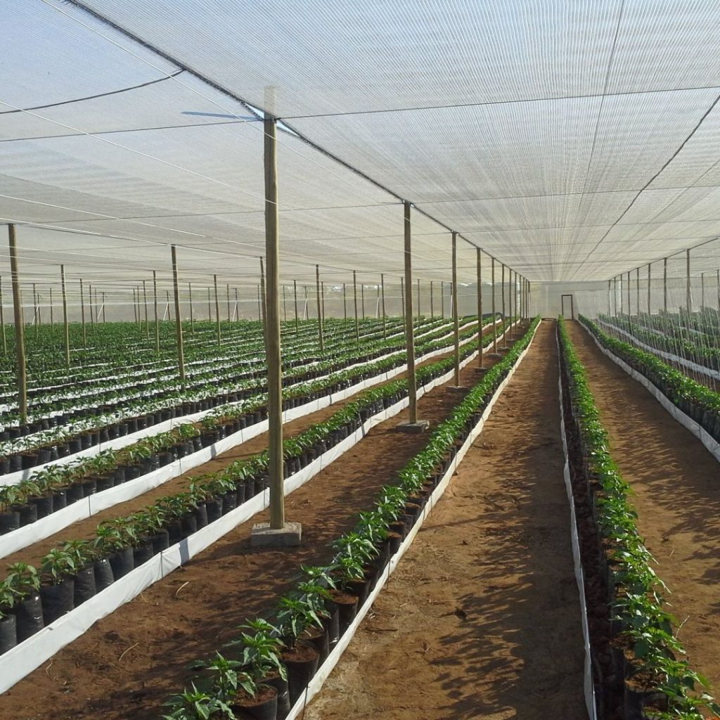 Knittex SpectraNet Shade Netting - Stafross