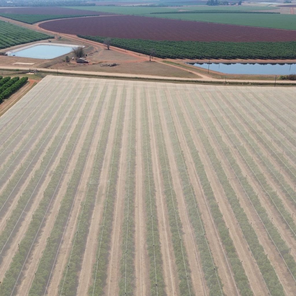 Knittex SpectraNet Shade Netting - Stafross