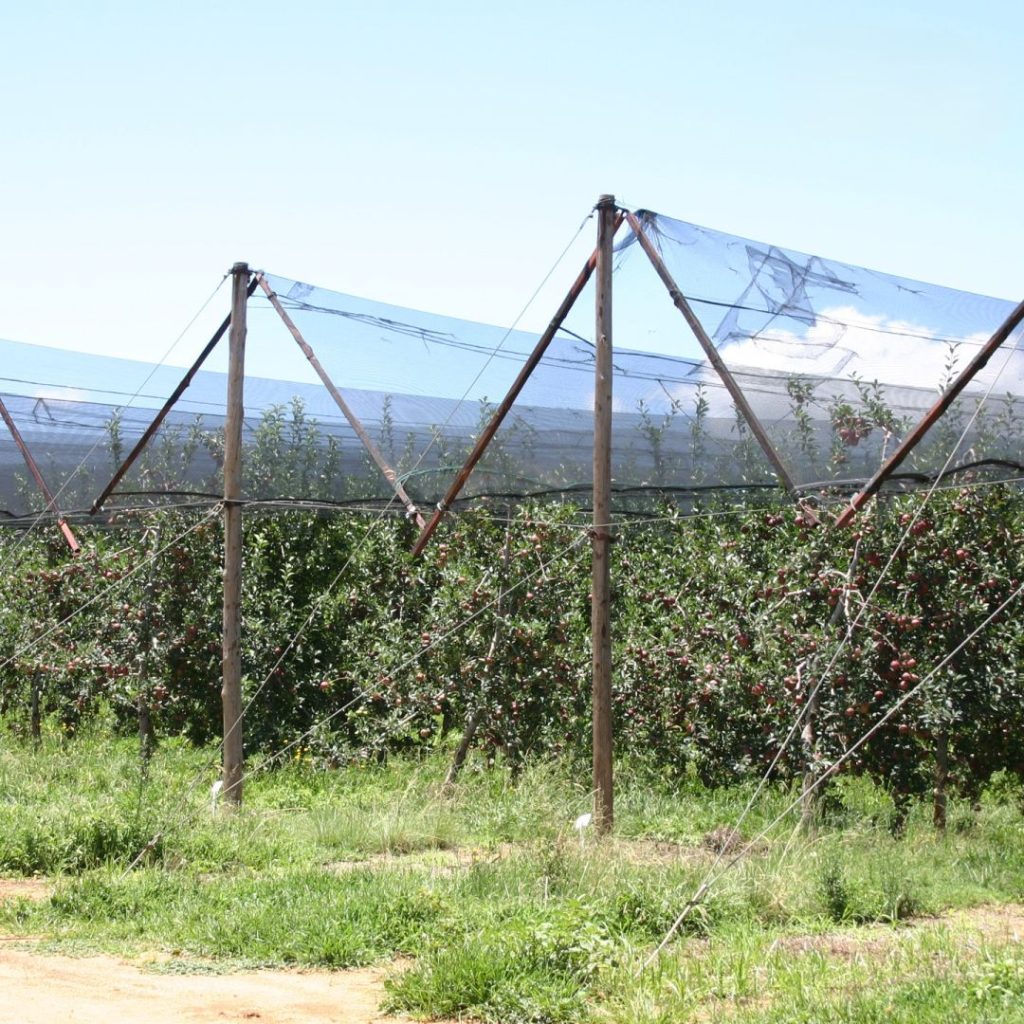 Knittex SpectraNet Shade Netting - Stafross