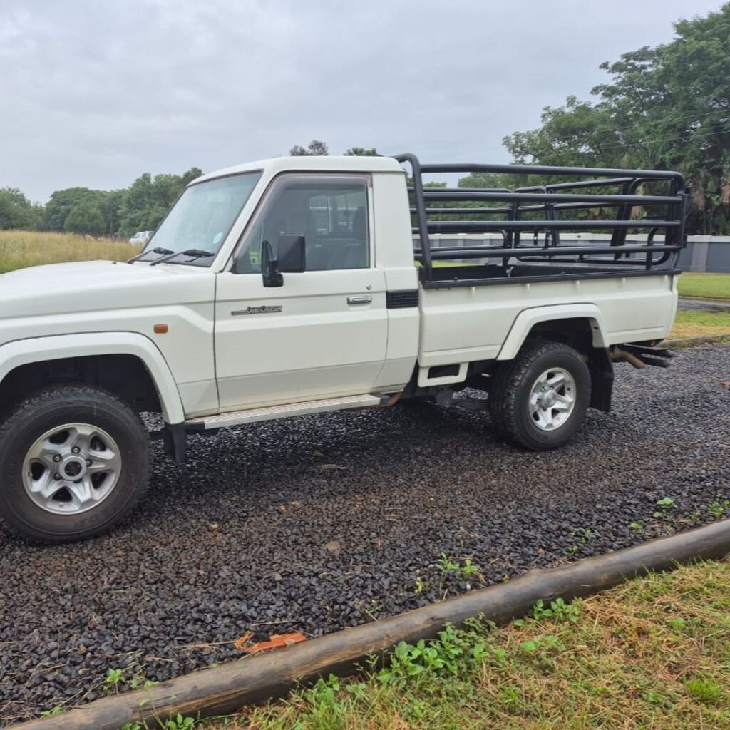 Toyota Land Cruiser Cattle Rails - Stafross
